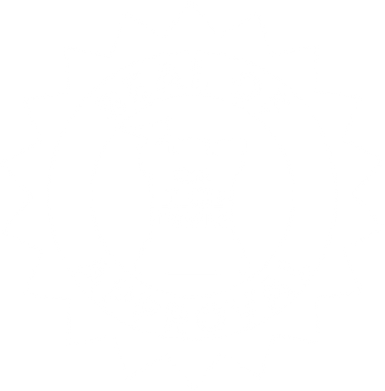 Hostage Negotiator – Van Ryder Games